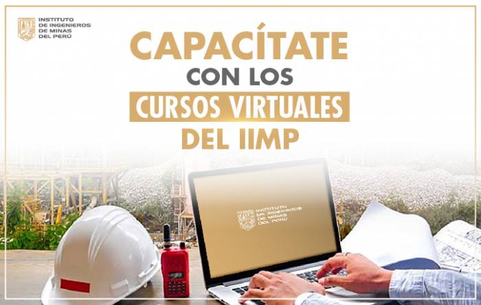 Capacítate con los cursos virtuales que ofrece el IIMP
