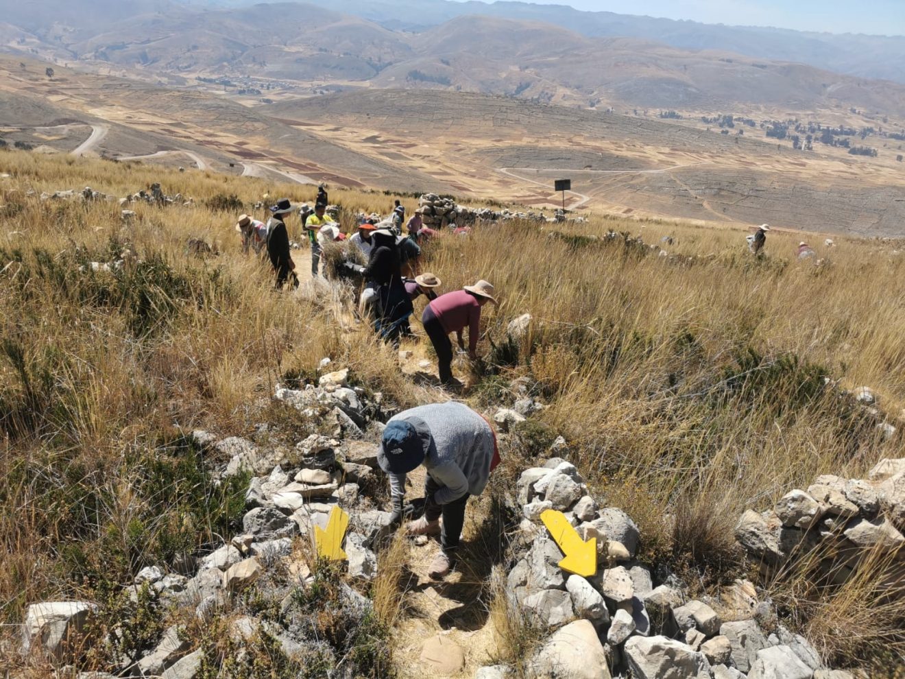 Minera Chinalco Perú dona 500 plantones de queñual para proteger y ...